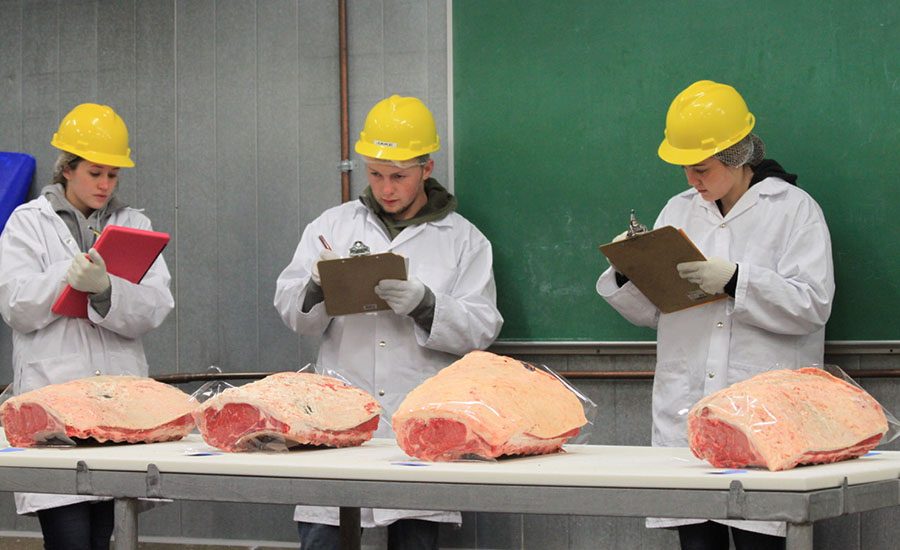 University of Wyoming offers a comprehensive meat education | The ...
