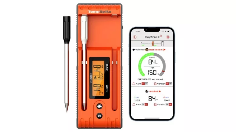What is a Smart Meat Probe: Ultimate Guide to Perfect Cooking - KitchenAbly
