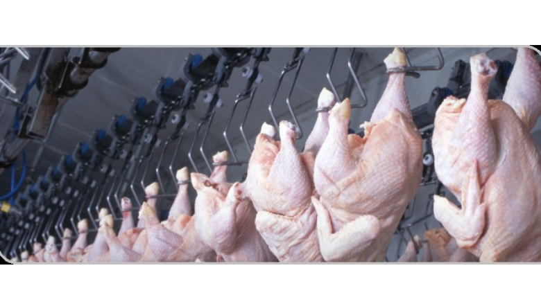 The continuing role of chlorination in poultry processing | The ...