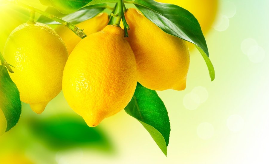 WTI debuts lemon-based solution to replace phosphates | The National ...